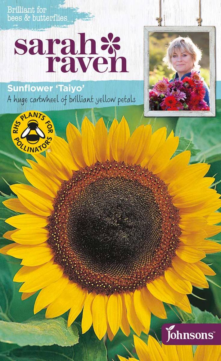 Blumensamen Sunflower »Taiyo« (Sonnenblume) - von Sarah Raven ...