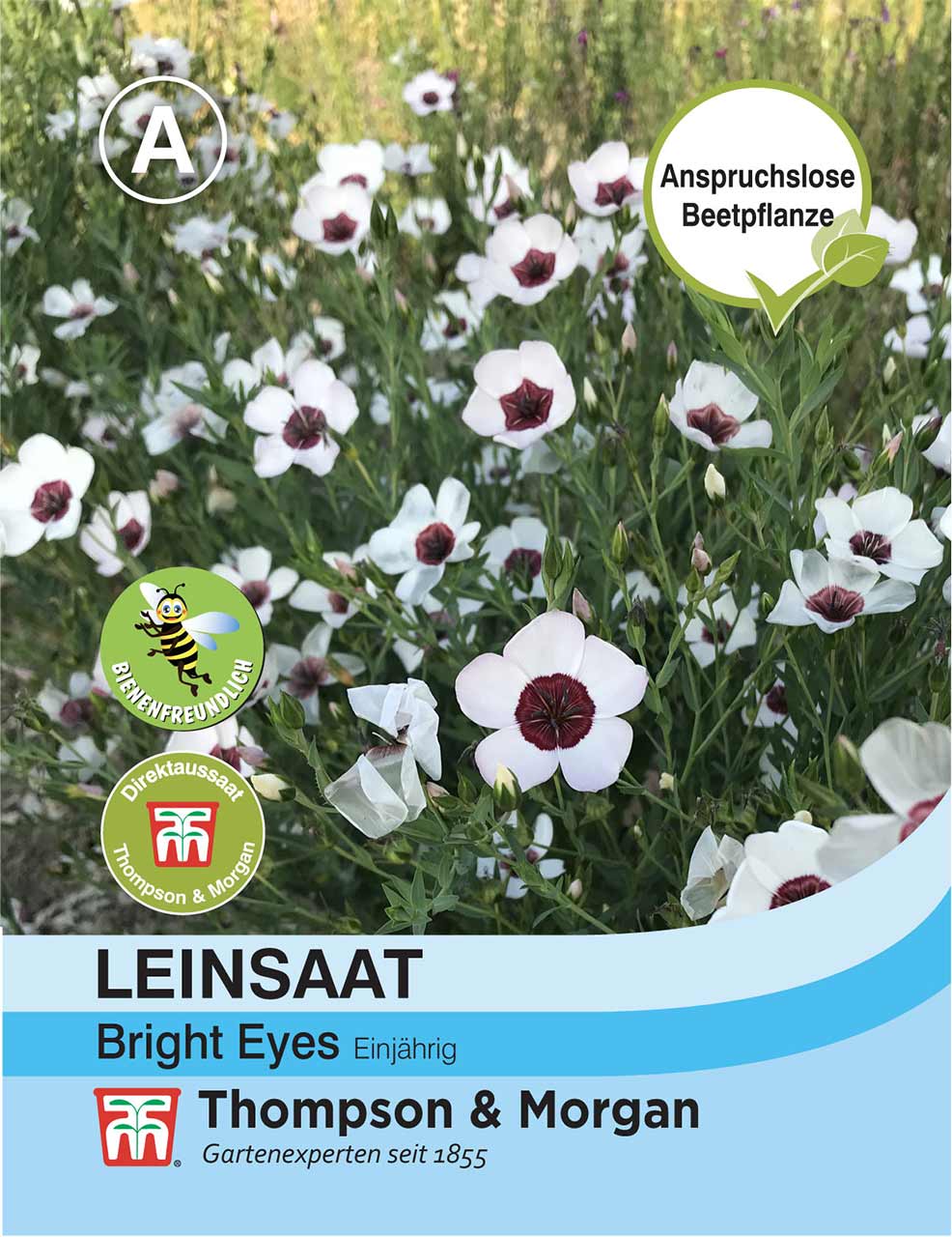 Blumensamen Leinsaat »Bright Eyes« | Blumensamen | Saatgut ...