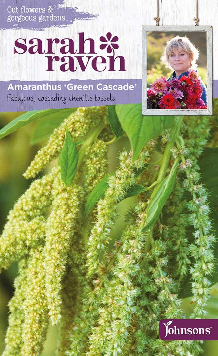 Blumensamen Amaranthus »Green Cascade« (Garten-Fuchsschwanz) - von Sarah Raven | Blumensamen ...