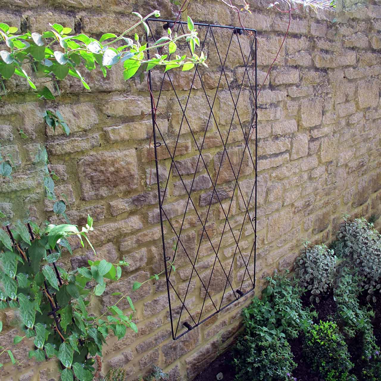 Rankgitter »Standard Lattice« | Rankhilfen aus Metall | Rankhilfen ...